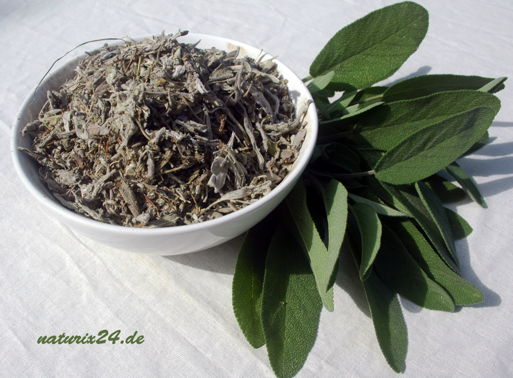 Salbeitee, Salbeiblätter ganz | Naturix24 - Produkte der Natur