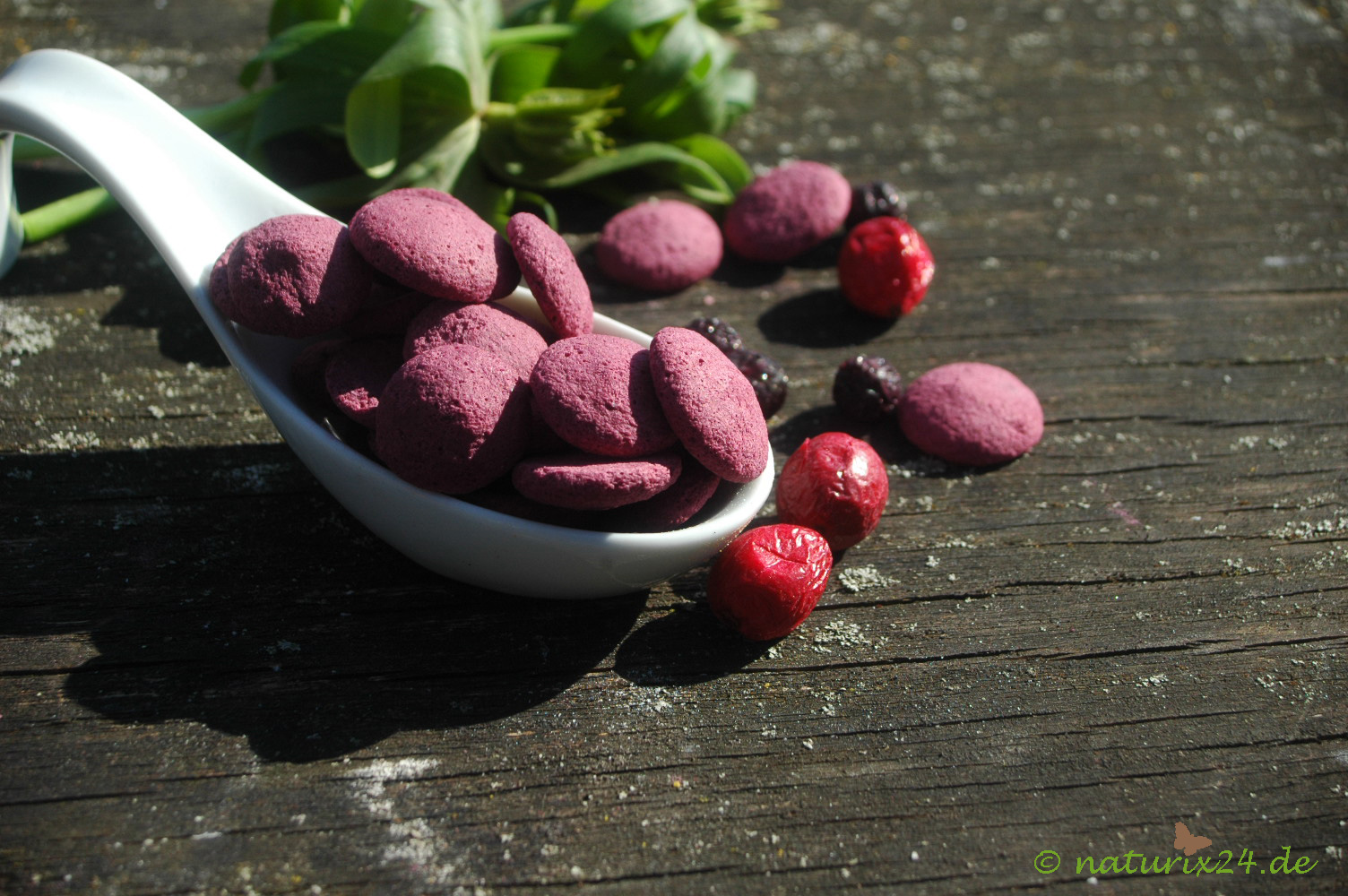 Smoothie Drops Heidelbeere-Joghurt | Naturix24 - Produkte der Natur