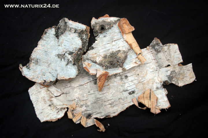 Birkenrinde | Naturix24 - Produkte der Natur