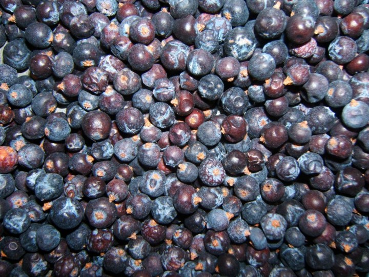Wacholderbeeren | Naturix24 - Produkte der Natur